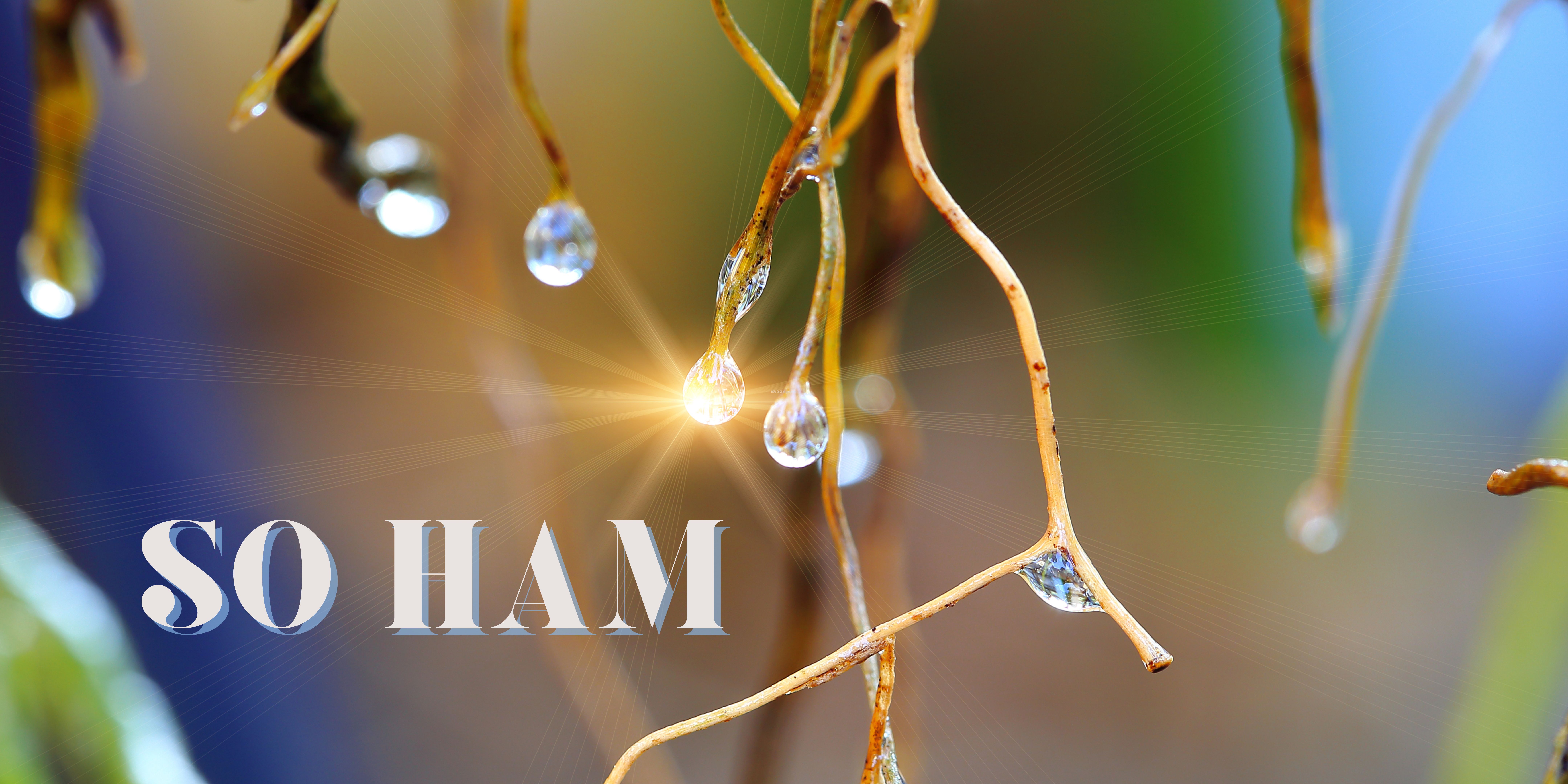 Le Mantra So Ham : une exploration de la respiration profonde – Yoga Forme